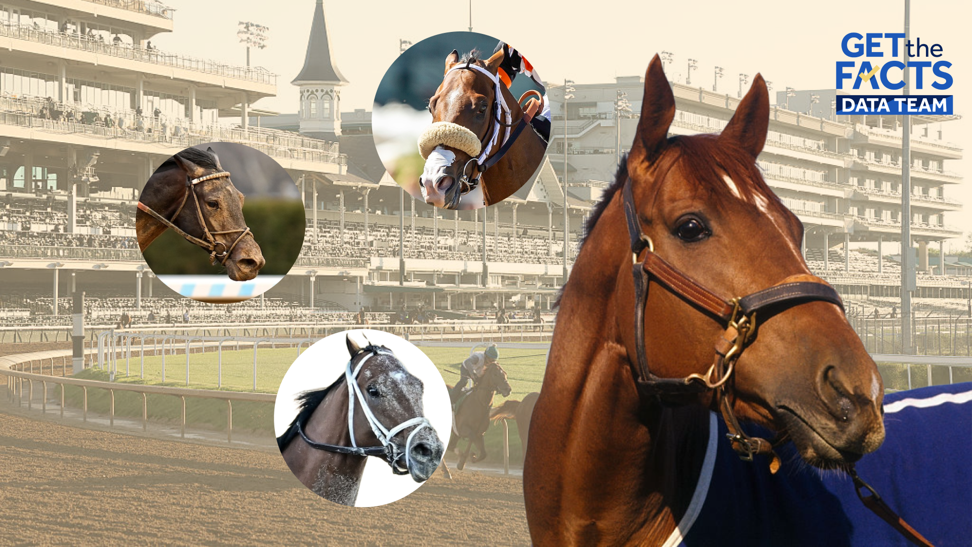 See which racehorses carry Secretariat's bloodline in the 2026 Kentucky ...