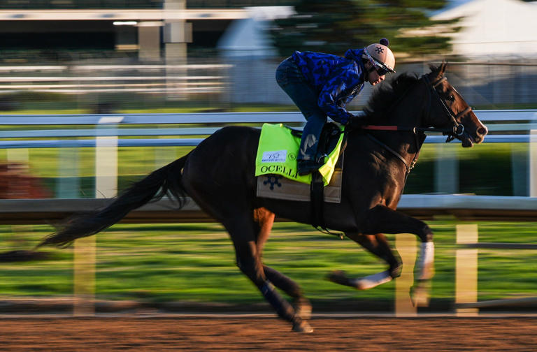 Who will run in Preakness 2026? Kentucky Derby winner Golden Tempo out