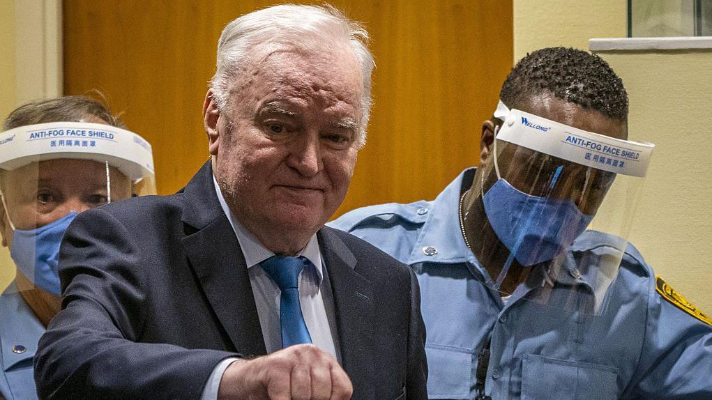 War criminal Mladic close to death, say lawyers asking judge for jail ...