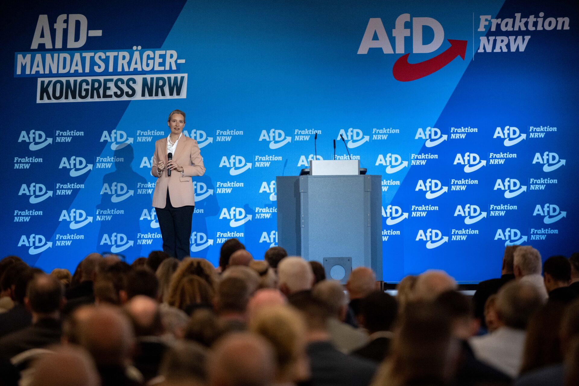 L'extrême droite est désormais la principale force politique en Allemagne