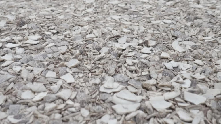Ditch the concrete: The 10 best stylish alternatives for your driveway