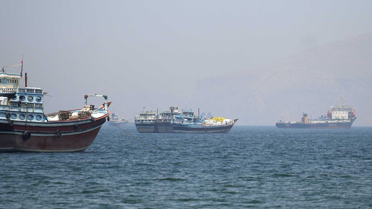 Iran eyeing 'mine-carrying dolphins' to fight US blockade: WSJ
