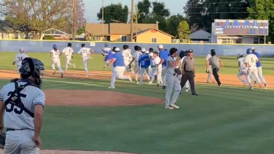 Controversial walk-off baseball celebration sparks viral debate (video)