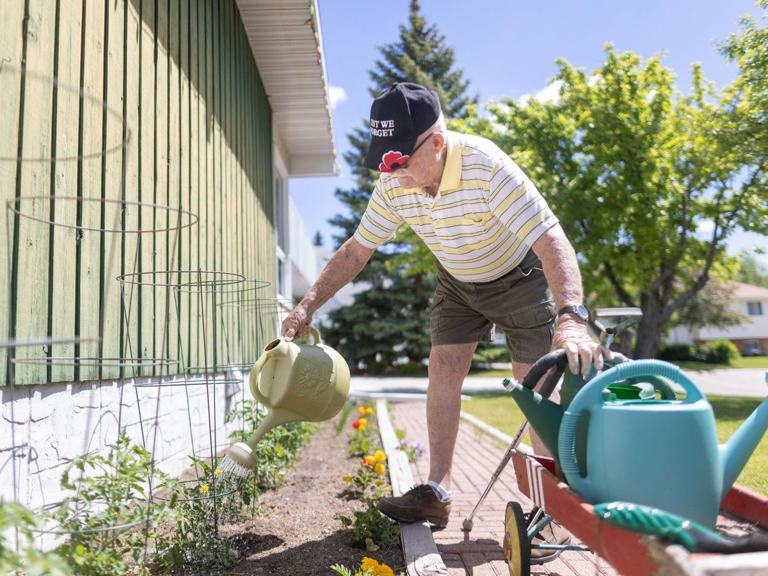 Can I still water my garden? What you need to know about the Calgary's ...