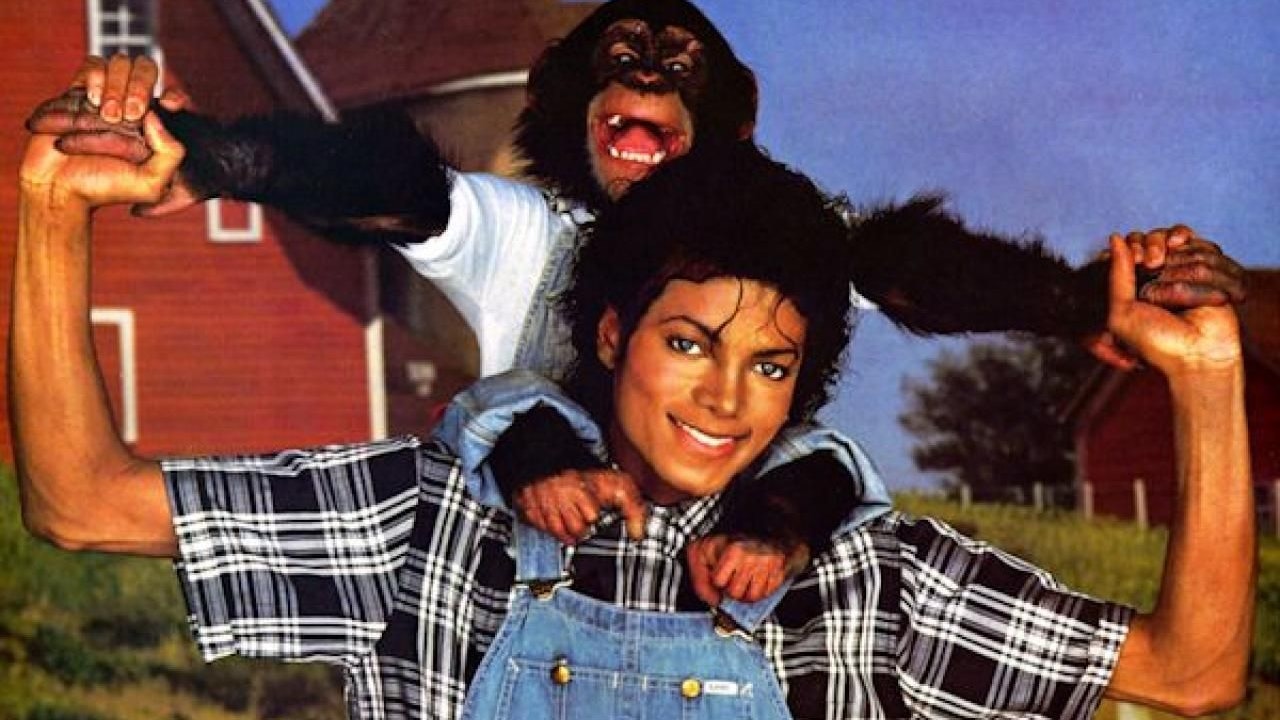 "Bubbles" lebt! Das wurde aus Michael Jacksons Affe