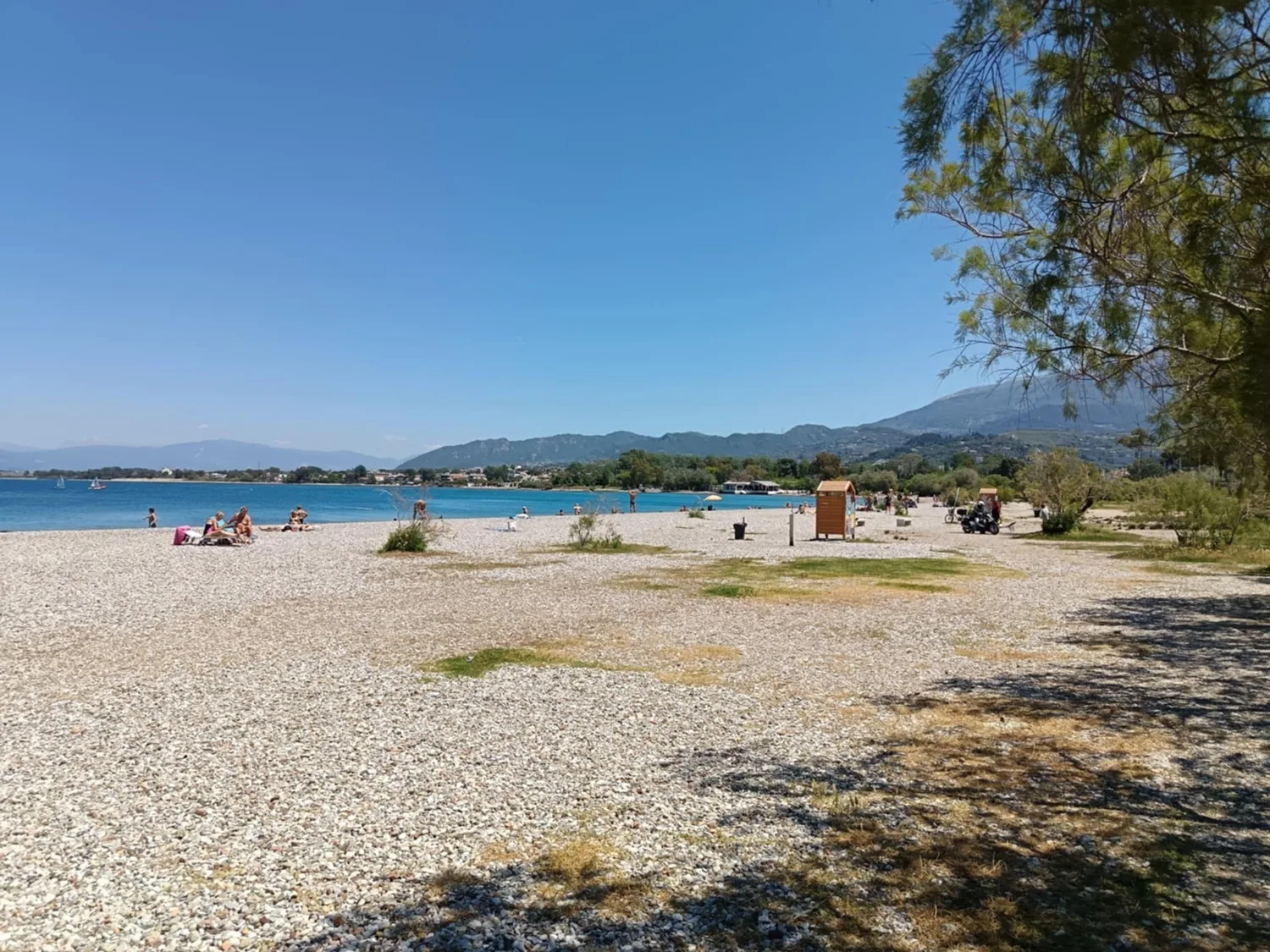 Πάτρα: Δράση εθελοντισμού στην Πλαζ από το Πανεπιστήμιο Πατρών