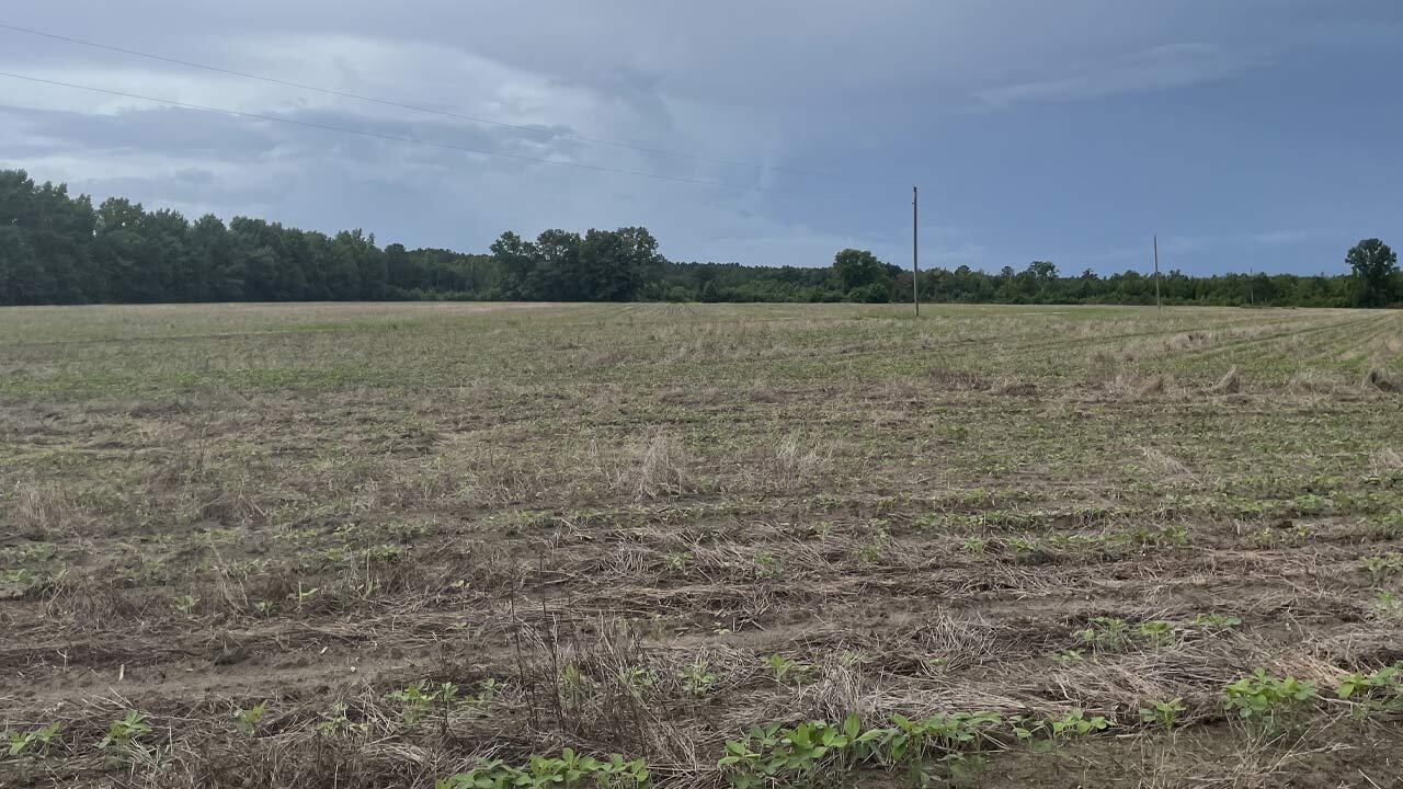 South Carolina drought worsens to severe status in all 46 counties