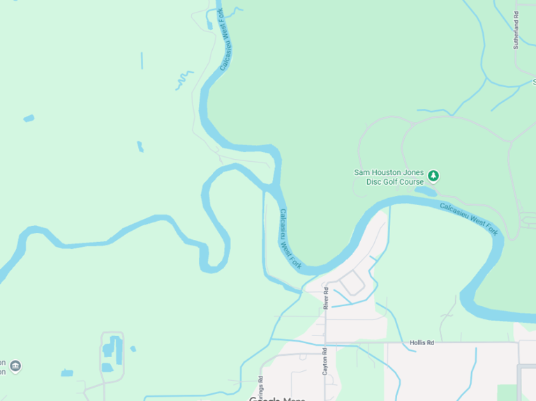 Louisiana woman reports Bigfoot sighting in swamp