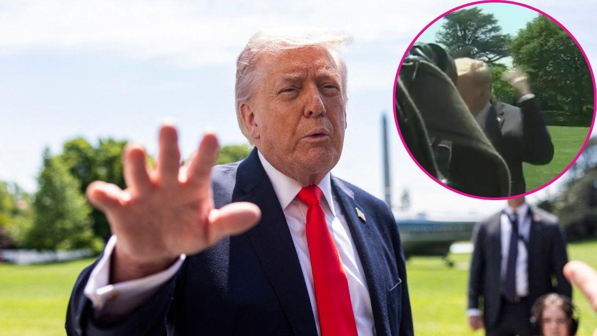Exasperated Donald Trump swats at 'vicious bee' after wife Melania ...