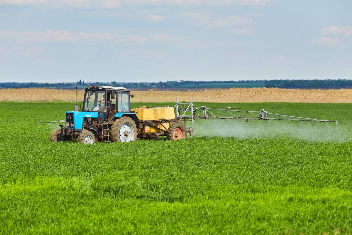 Meio século de transformação: como a agricultura portuguesa mudou desde ...