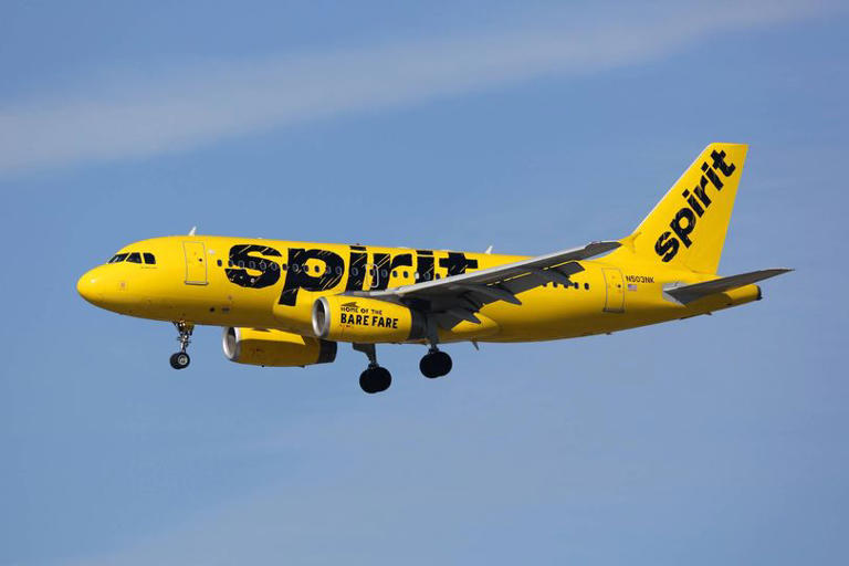 Donald Trump’s clueless 6-word response to Spirit Airlines' shutdown ...
