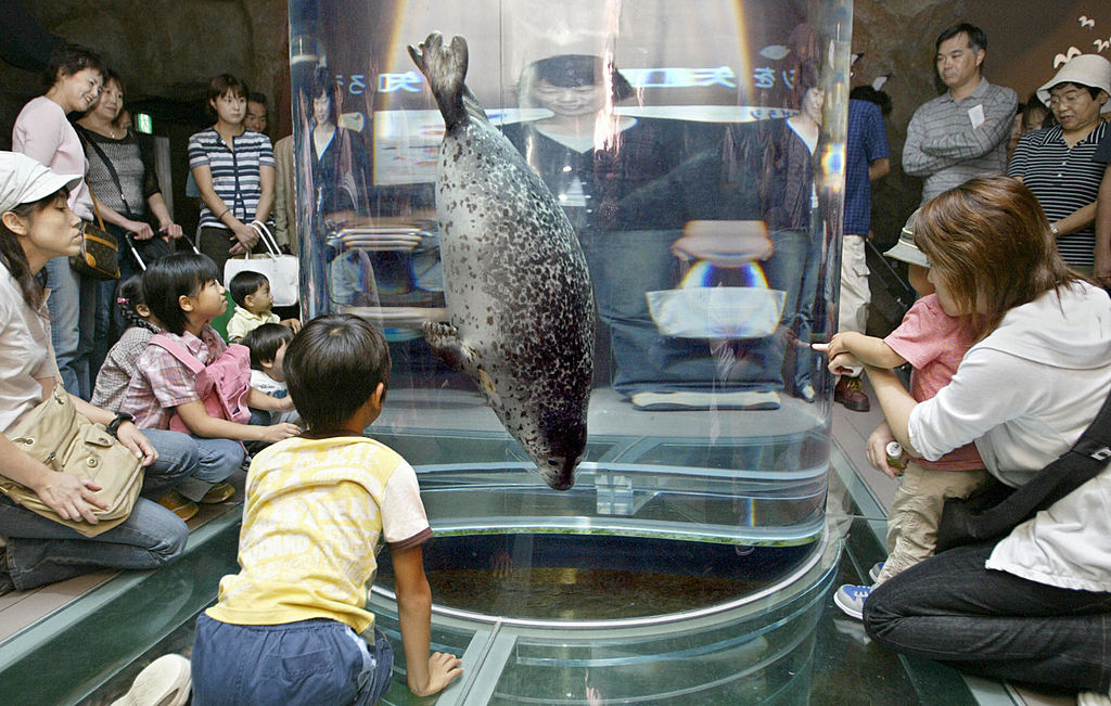 Japan zoo worker allegedly admits to throwing wife’s body into animal ...