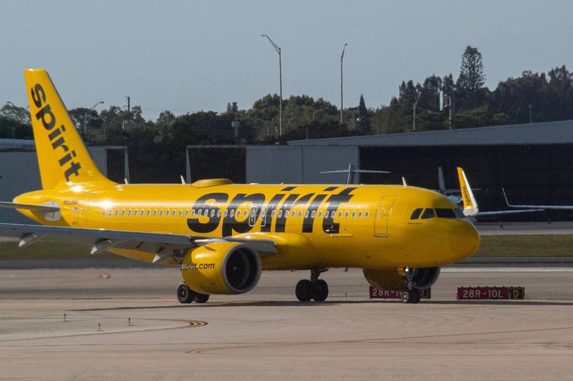 Donald Trump’s clueless 6-word response to Spirit Airlines' shutdown ...