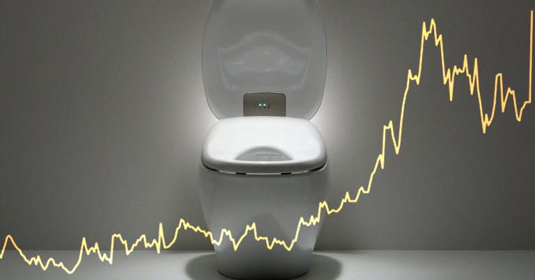 Toilet maker spikes in value as it flushes money into AI