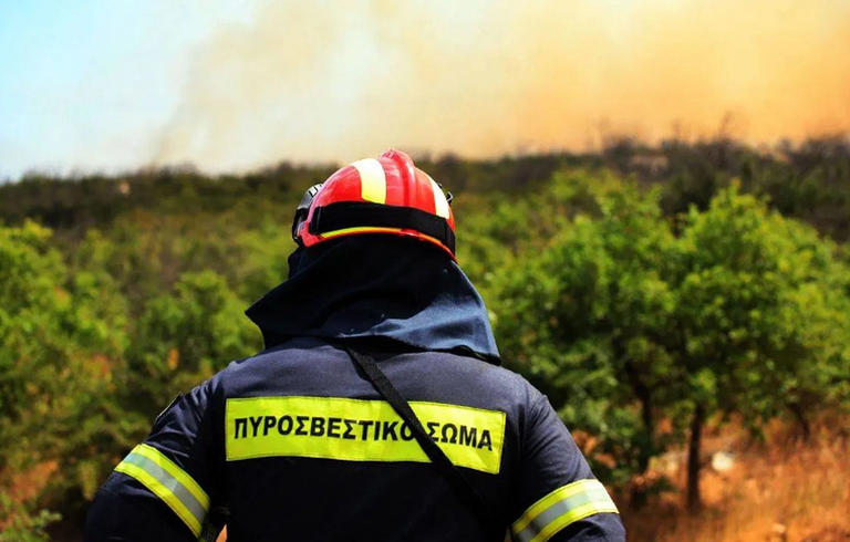 Πυροσβεστική για την αντιπυρική περίοδο: Τι να προσέξουν οι πολίτες, τι ...