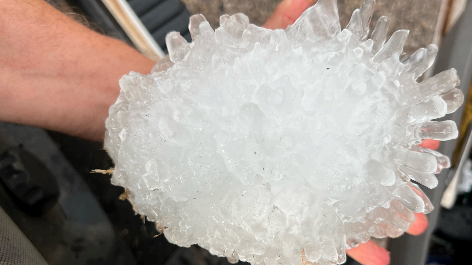 Everything is bigger in Texas, especially this hailstone