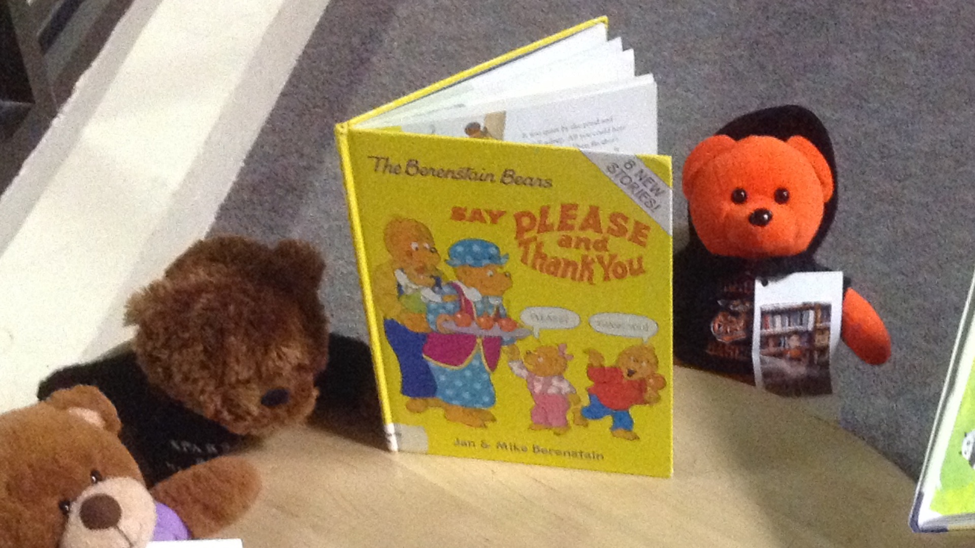 Berenstein or Berenstain Bears? 20 odd phenomena we've all experienced ...