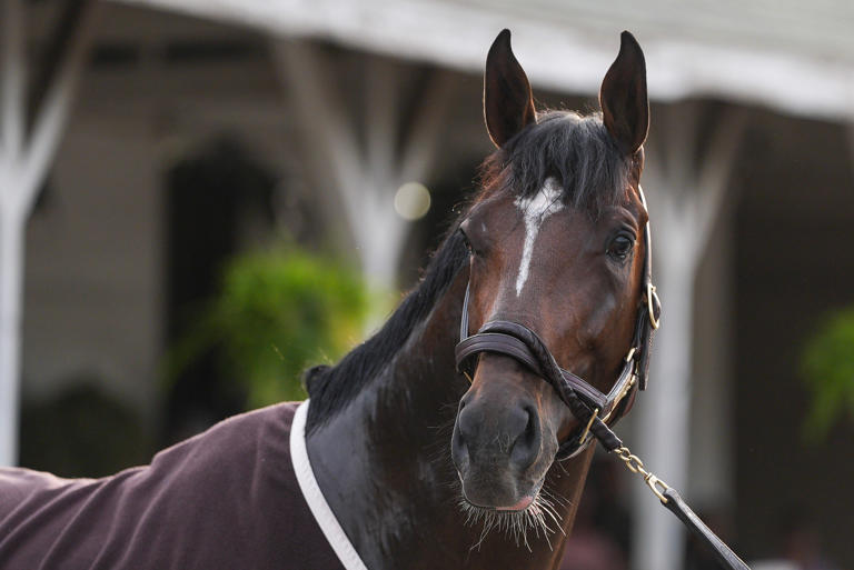 Who is Cherie DeVaux? Her horse Golden Tempo just won an historic ...