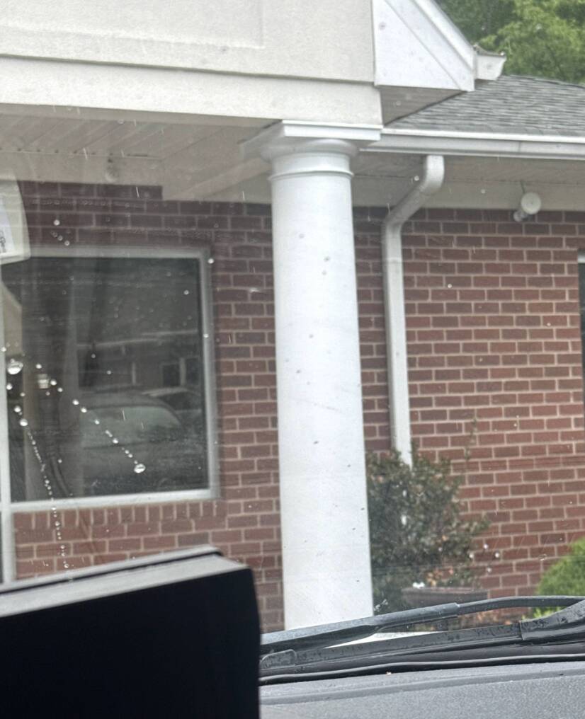 Preschool staff hear 'rustling' in column and uncover a beautiful bird ...