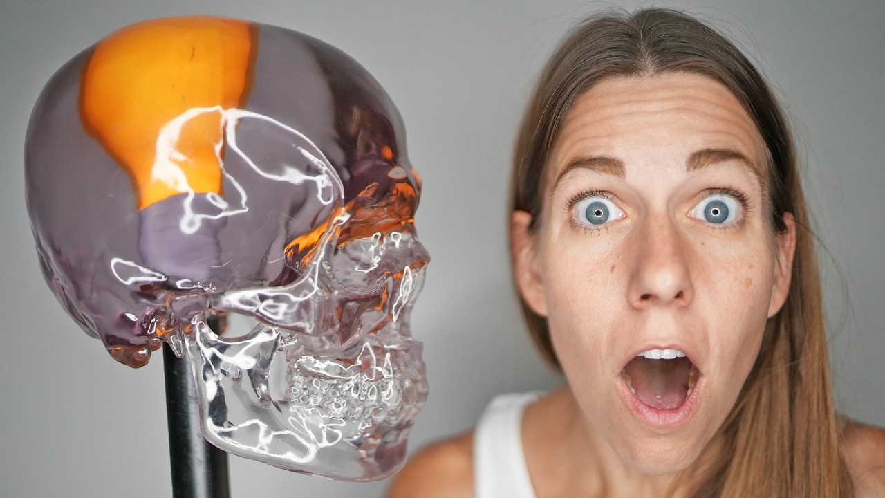 Ali Spagnola built a life-size skull that actually lights up