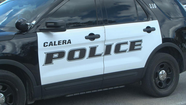 Man accused of stealing from store, hiding from police in bushes