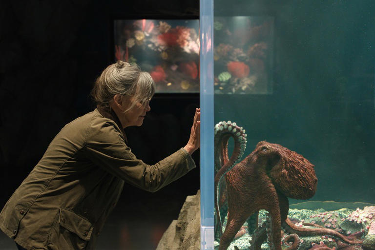 What time does the ‘Remarkably Bright Creatures’ movie come out on Netflix?