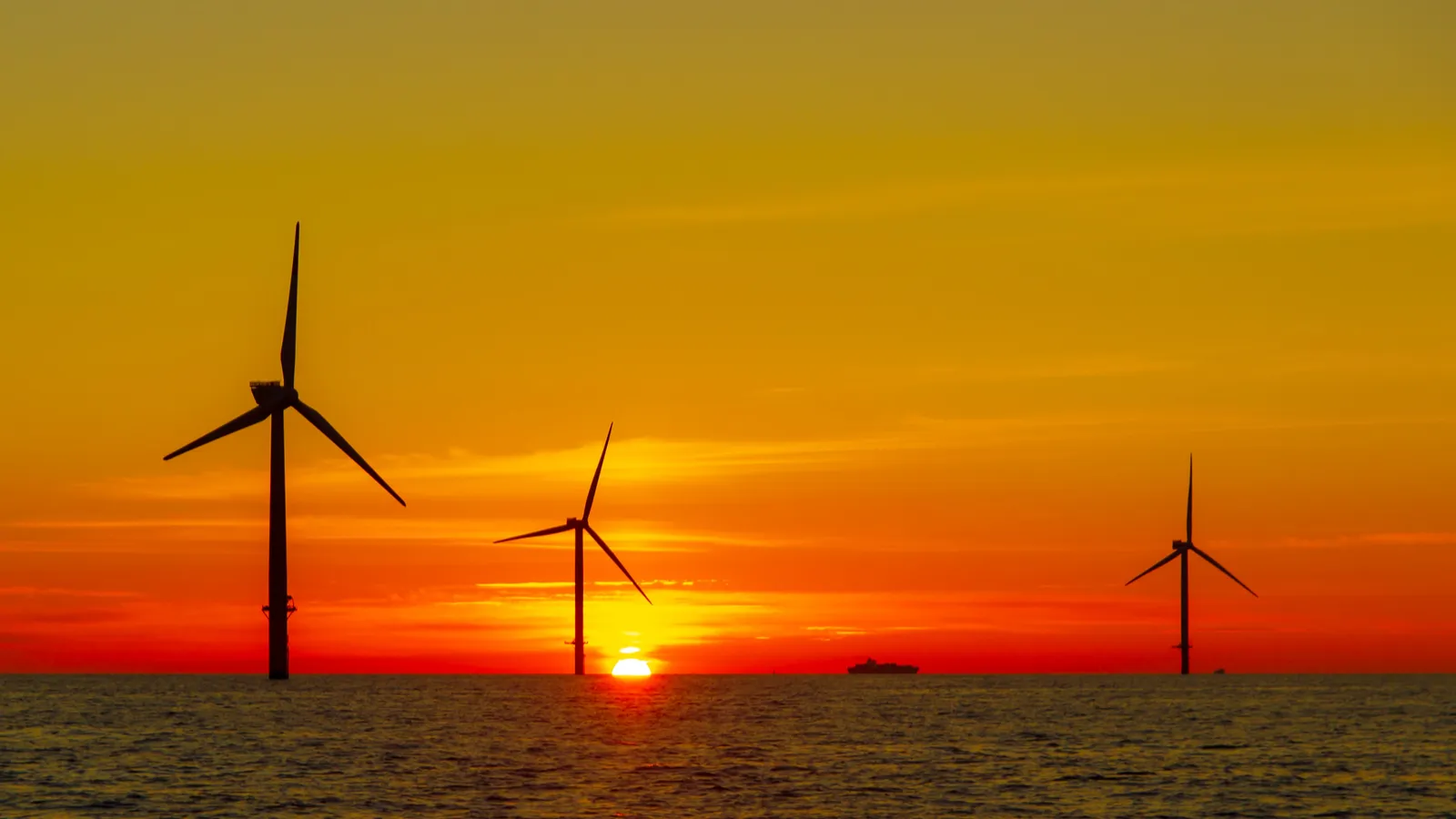 Trump administration pays wind developer to exit California offshore ...