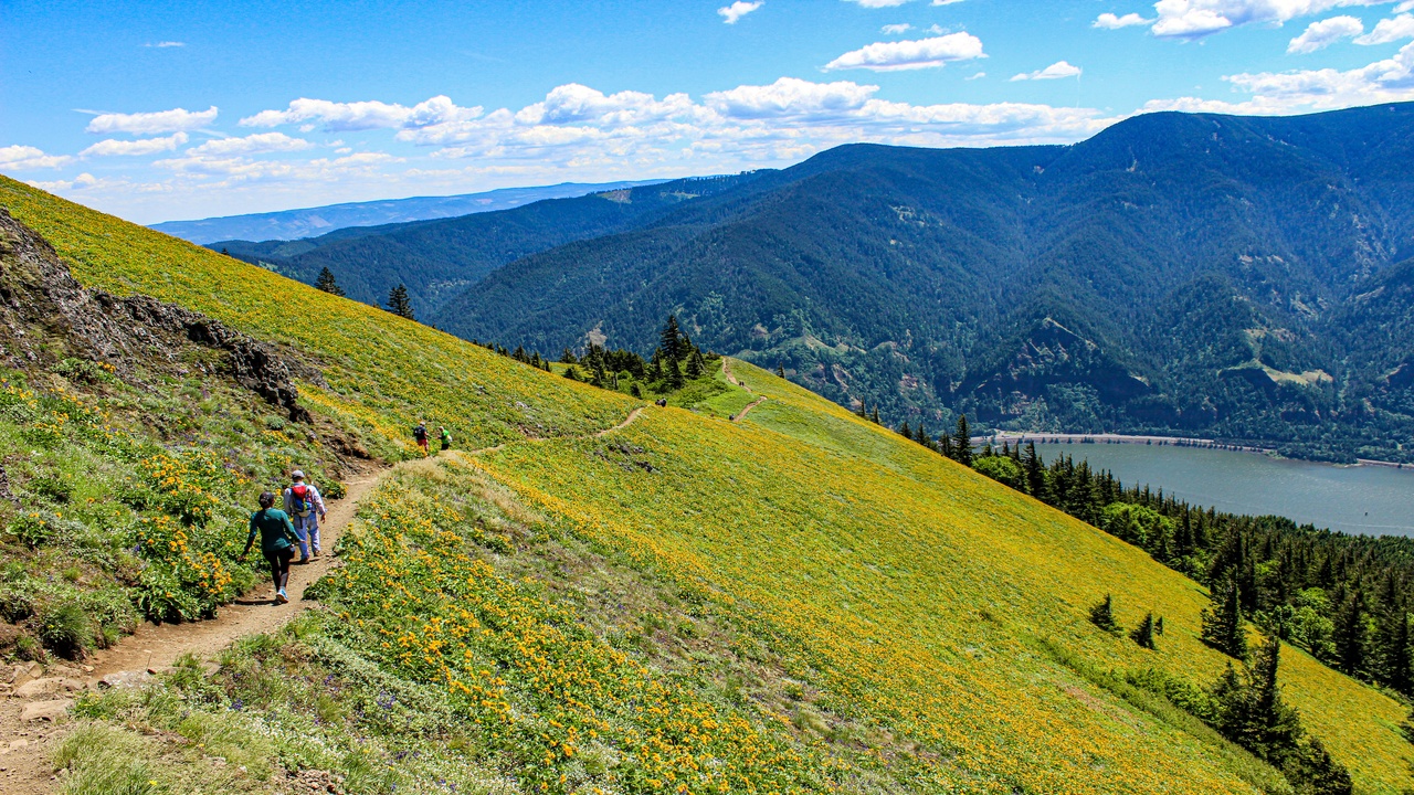 You Can See Two Volcanoes From This Washington Town That Hood River