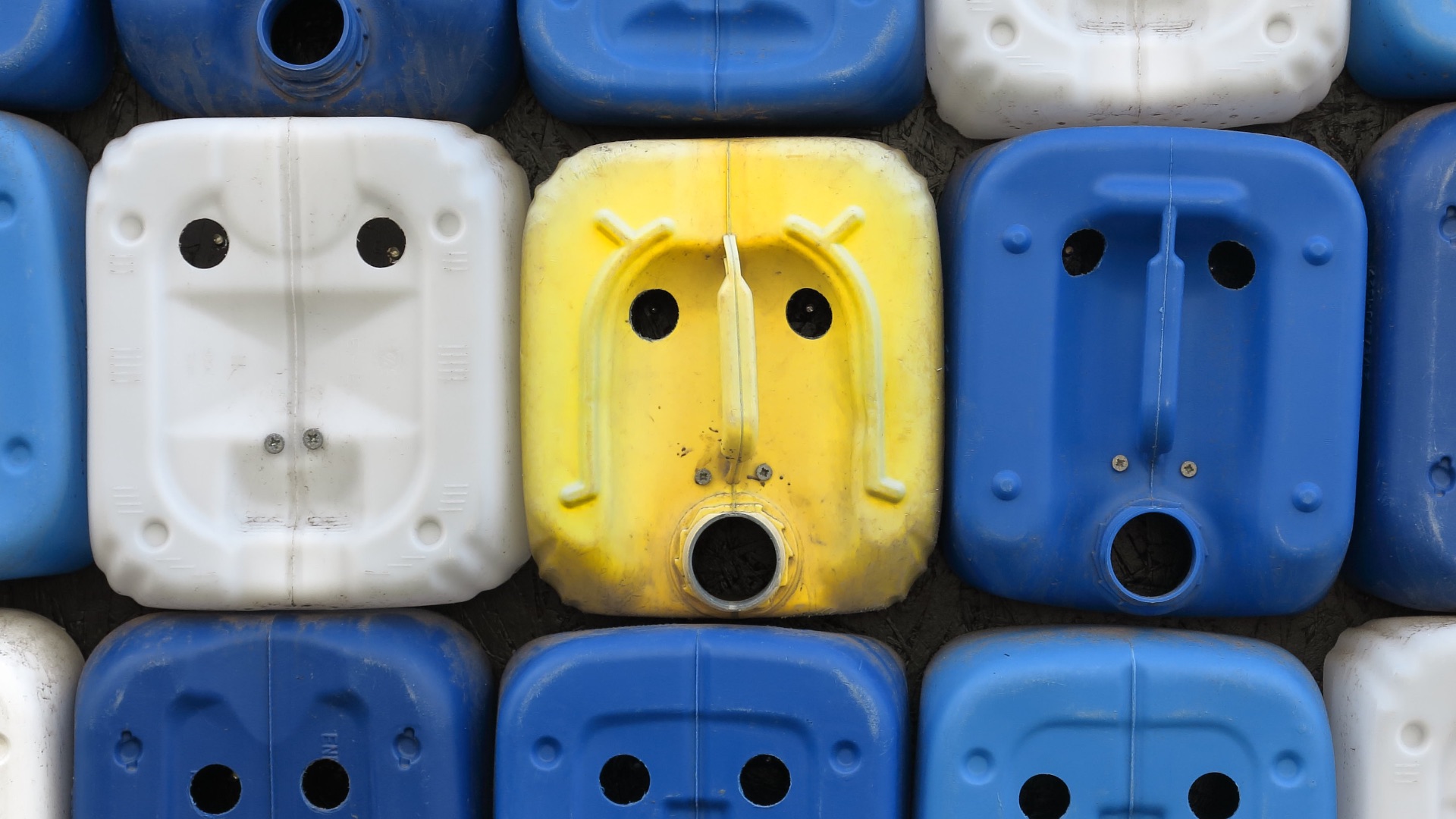Berenstein or Berenstain Bears? 20 odd phenomena we've all experienced ...