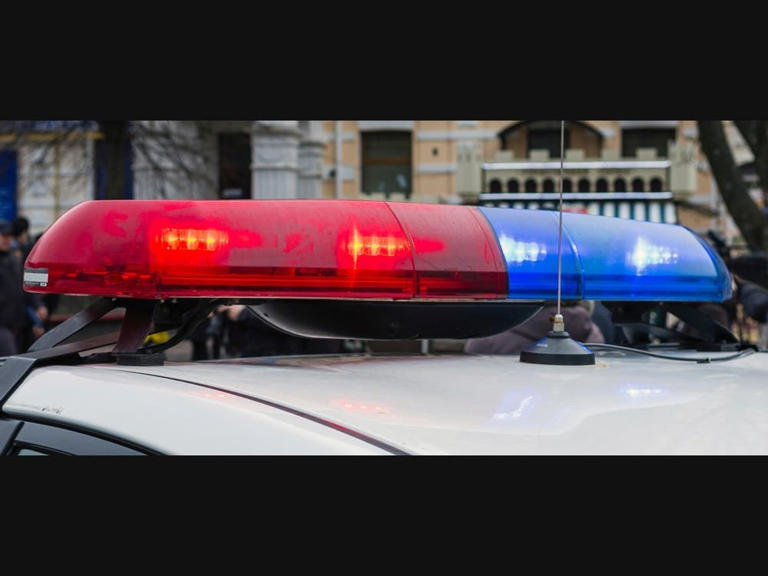 Suspect in custody after Island Park, Valley Stream incidents, NCPD ...