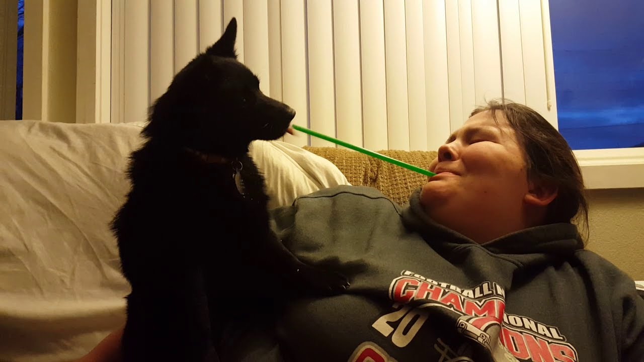 These funny animals will make your day better