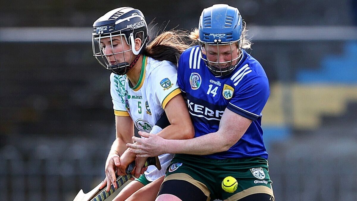 Laura Collins on Kerry's historic camogie clash with Waterford: We love ...