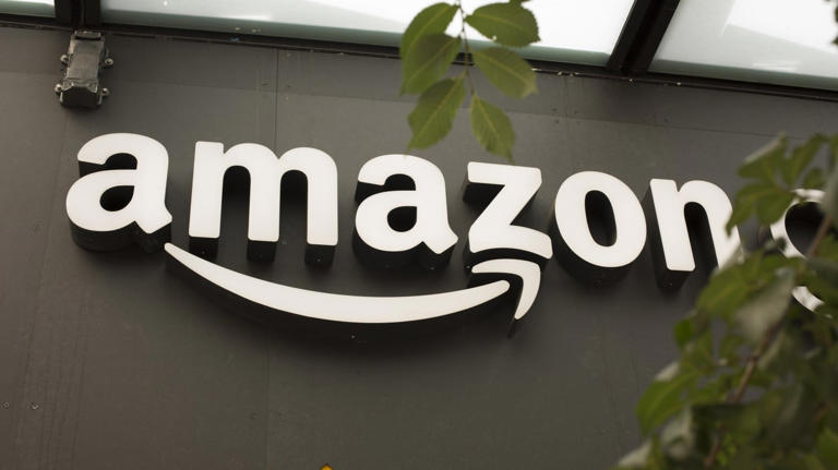 Investor goes 70% into Amazon with leveraged options, calls Amazon ...