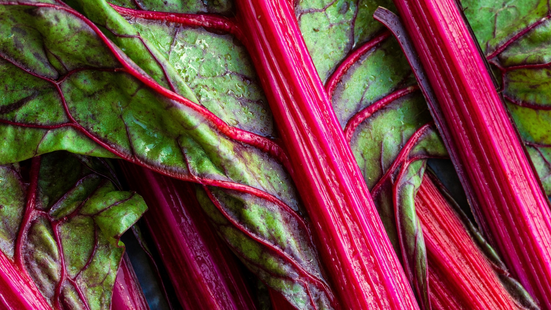 10 foods that make you more susceptible to kidney stones & 10 that help ...