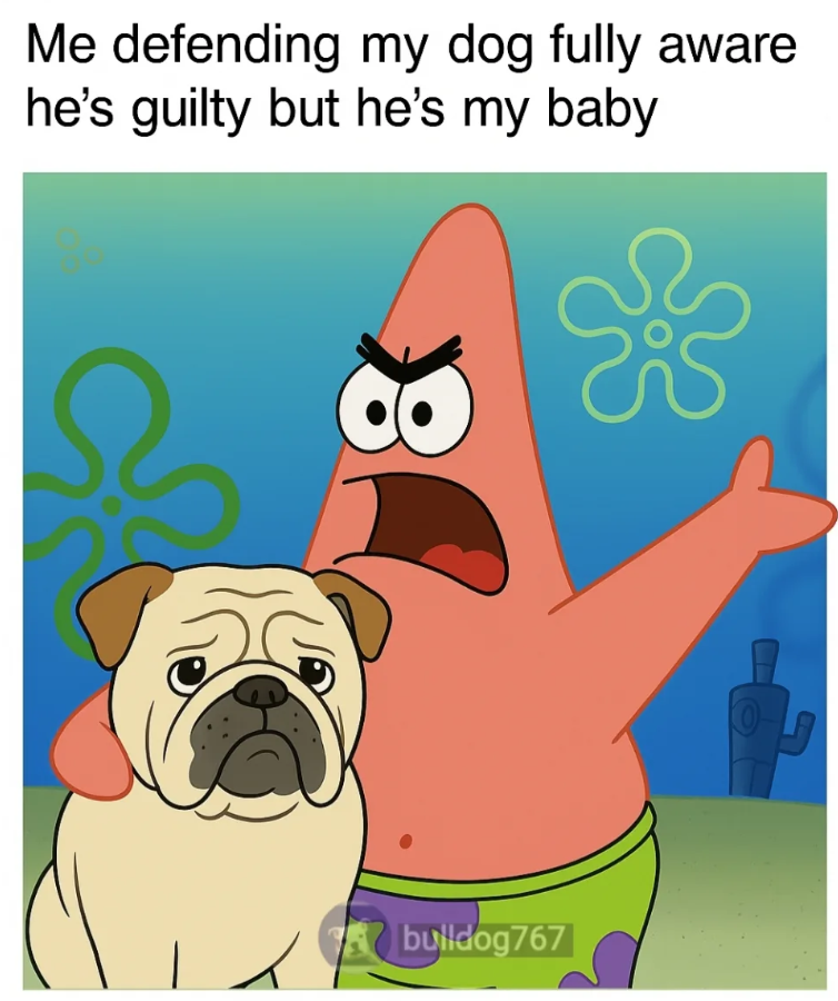 22 delightfully chaotic pawparent memes for pet parents who treat fur ...