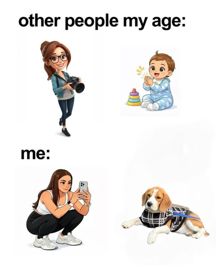 22 delightfully chaotic pawparent memes for pet parents who treat fur ...