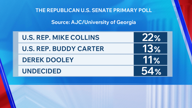 GOP US Senate race tight with most voters undecided; Dooley brings Kemp ...