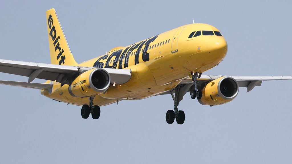 "Spirit is a unique experience": Logan Airport travelers would be sad ...