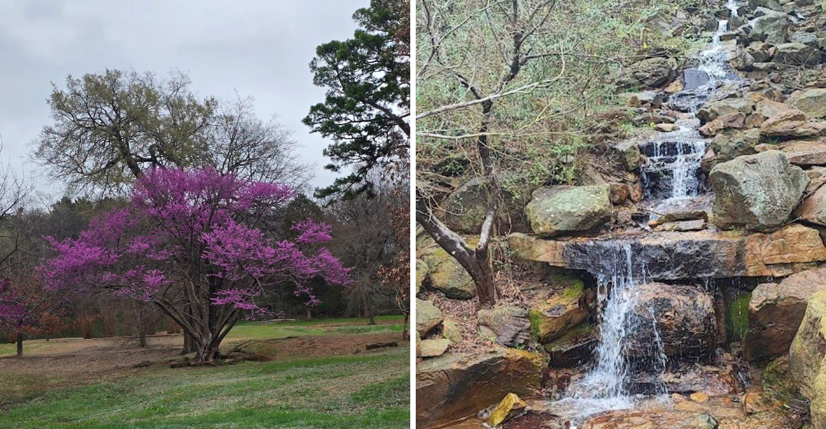 This scenic Oklahoma spot turns into a Dutch countryside dream every ...