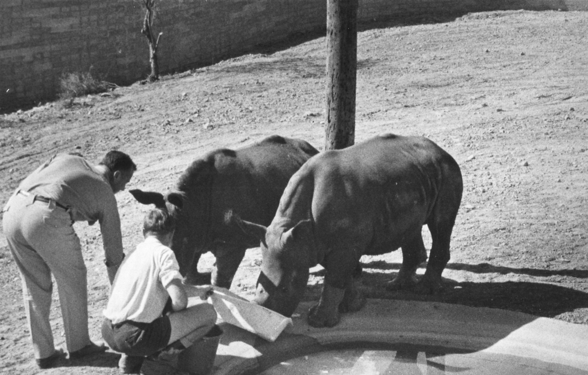 How the Phoenix Zoo began as a founder's dream