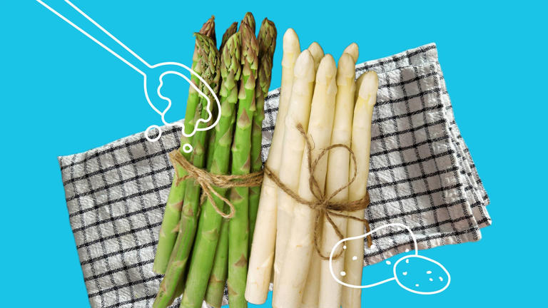 So is(s)t Spargel-Deutschland – Rezepte und Traditionen aus den Regionen
