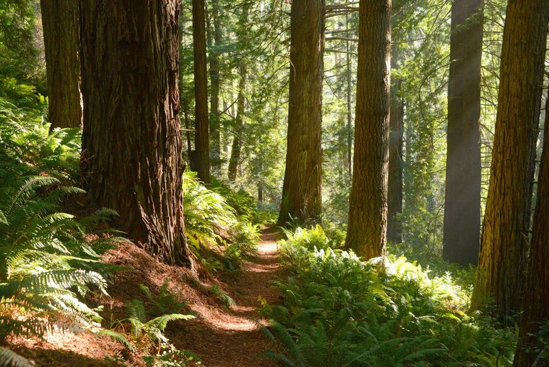 This California state park boasts quiet trails, rugged campsites, and ...