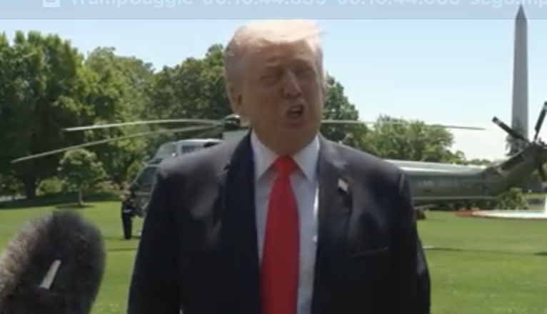 ‘A stupid fool’: Trump loses his cool, trashes former President Joe ...