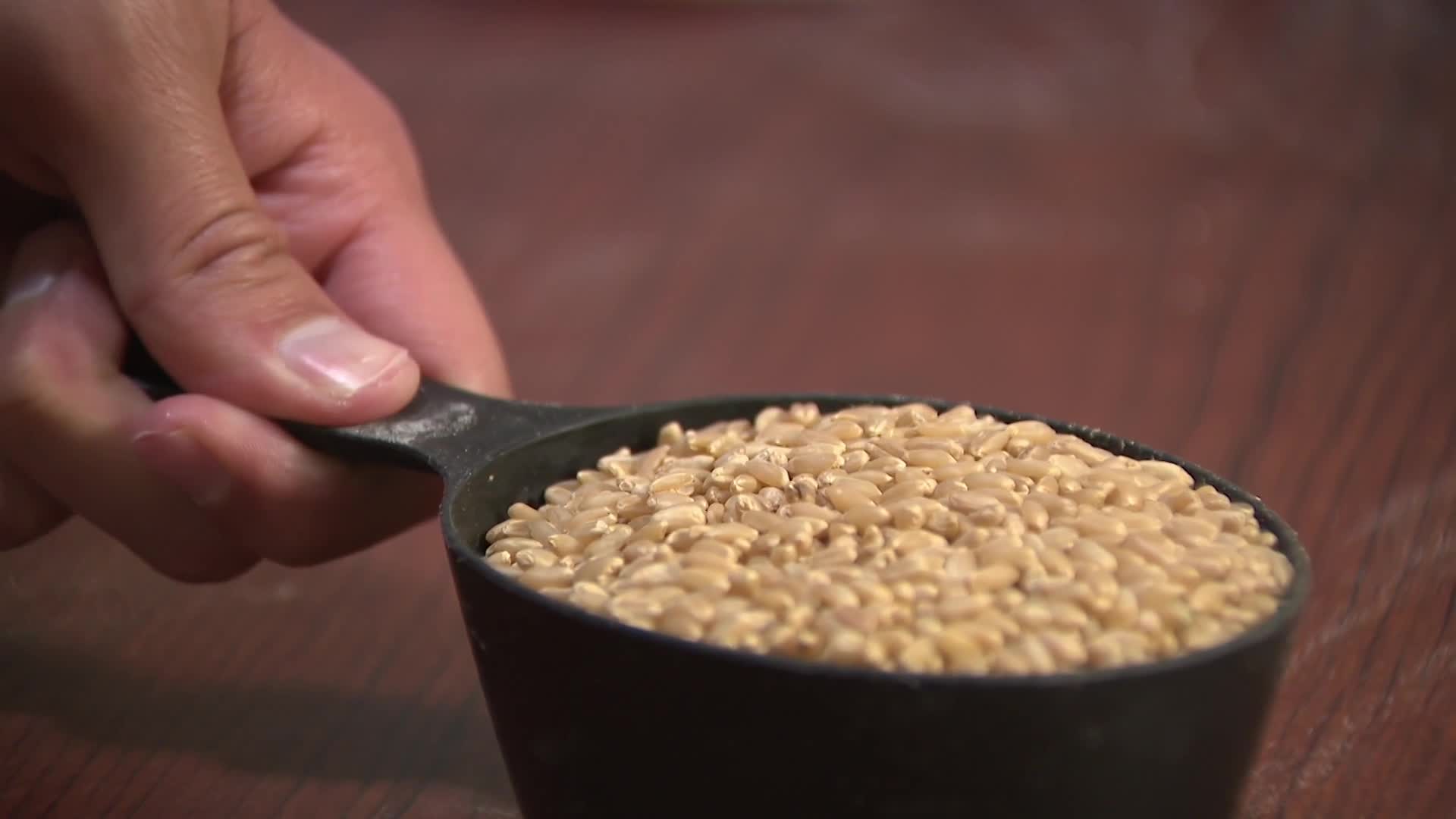 The wavin' wheat: Wheat set to become newest state symbol