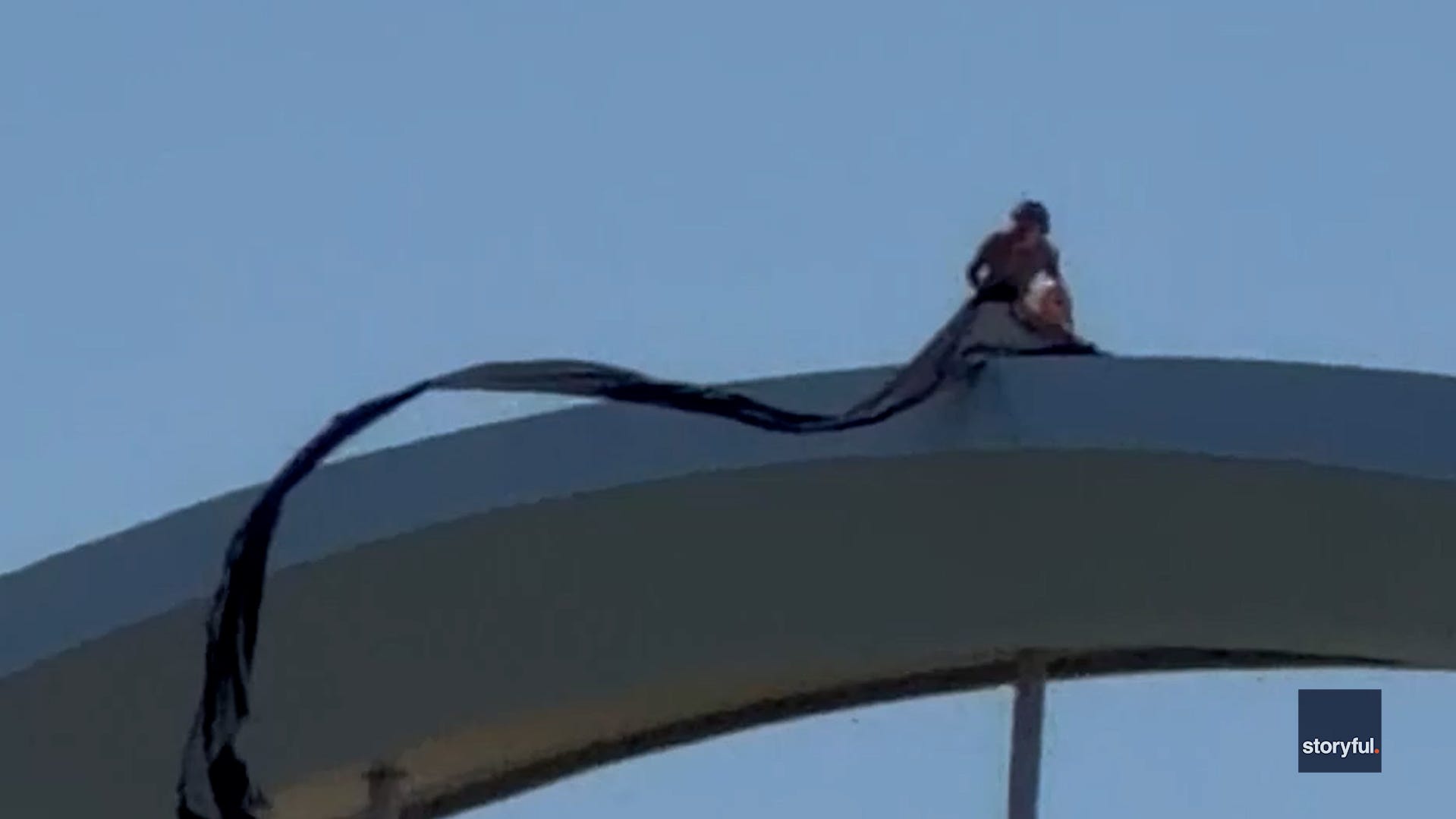 Protester scales Frederick Douglass Memorial Bridge in Washington DC