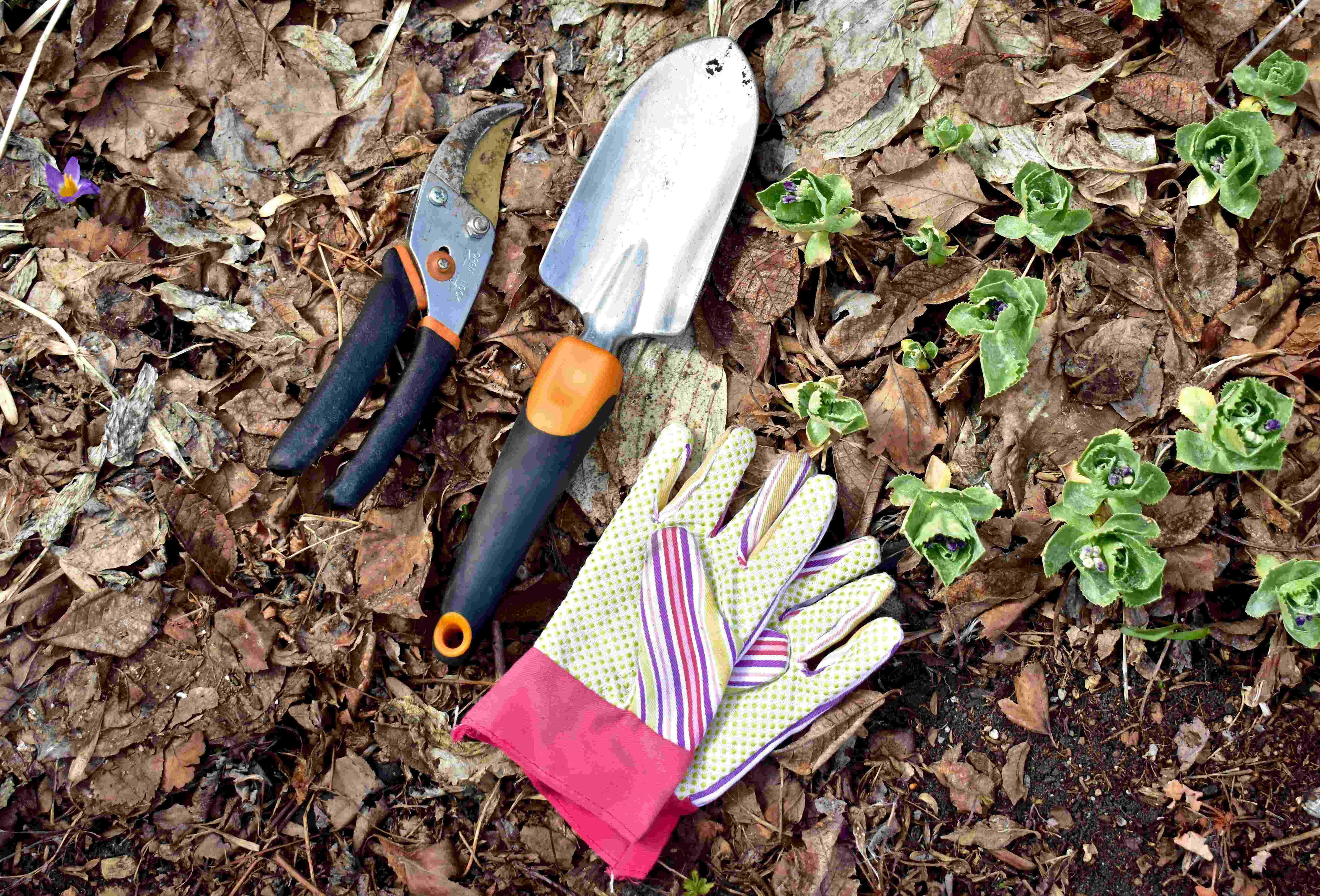 Spearfish Reminds Residents About Spring Yard Cleanup Nuisance Rules