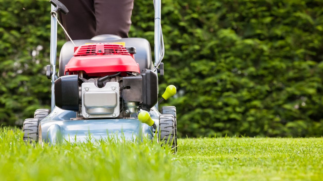 UK gardeners urged to join No Mow May—and skip cutting grass
