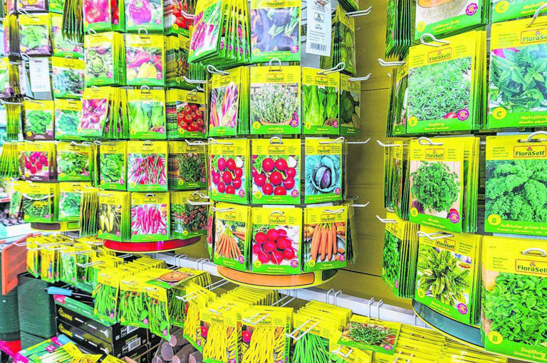 How growing a garden is like raising children. It takes patience and ...