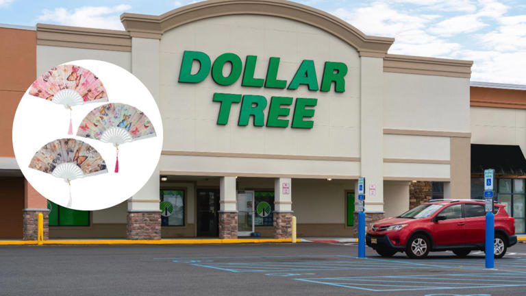 Dollar Tree's butterfly decor is spring-perfect – all for under $2!