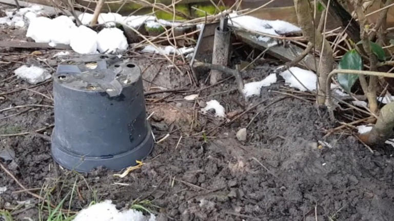 Turn a nursery pot into a safe sanctuary for the bumblebees in your yard